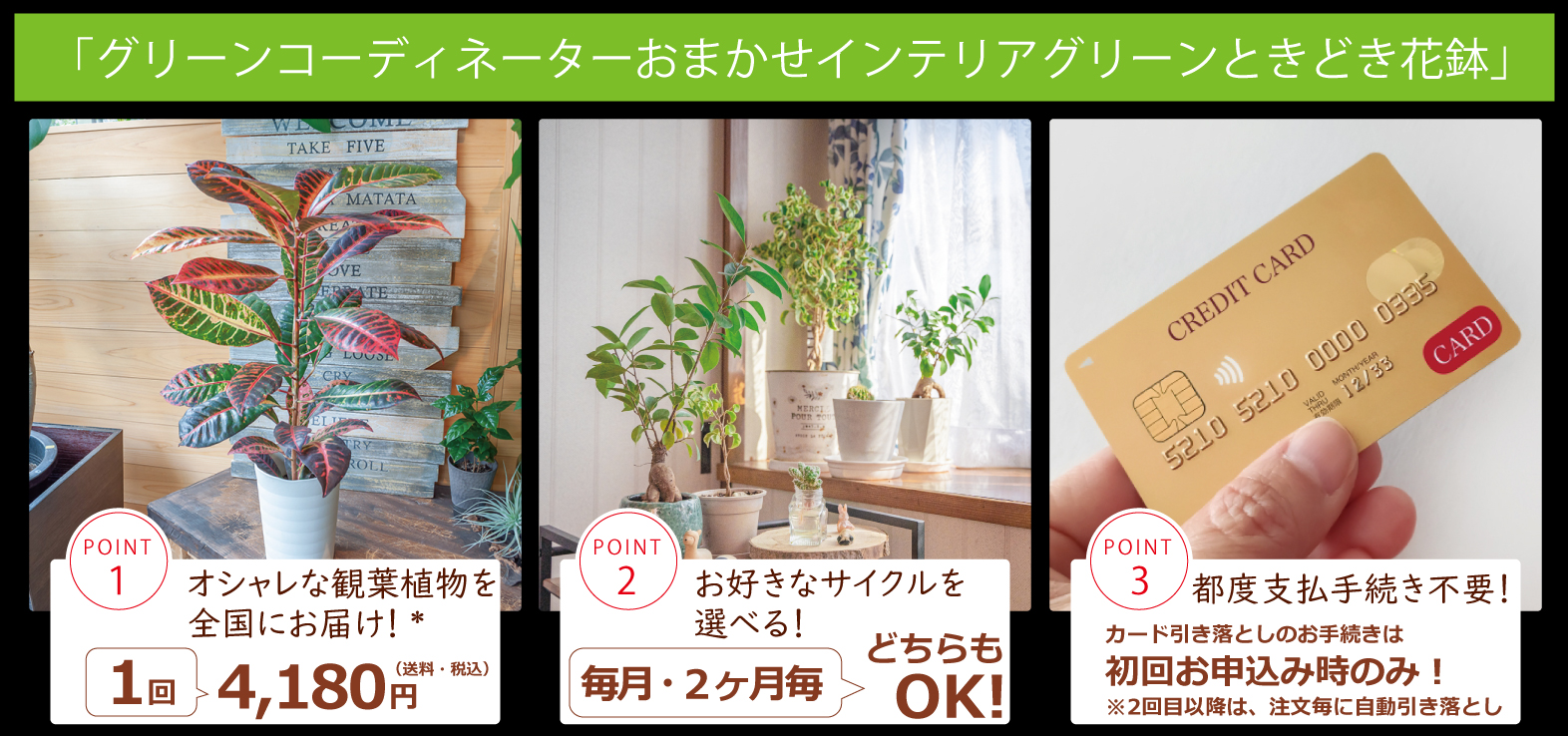 web用kanyou_3point | ちきりやガーデン